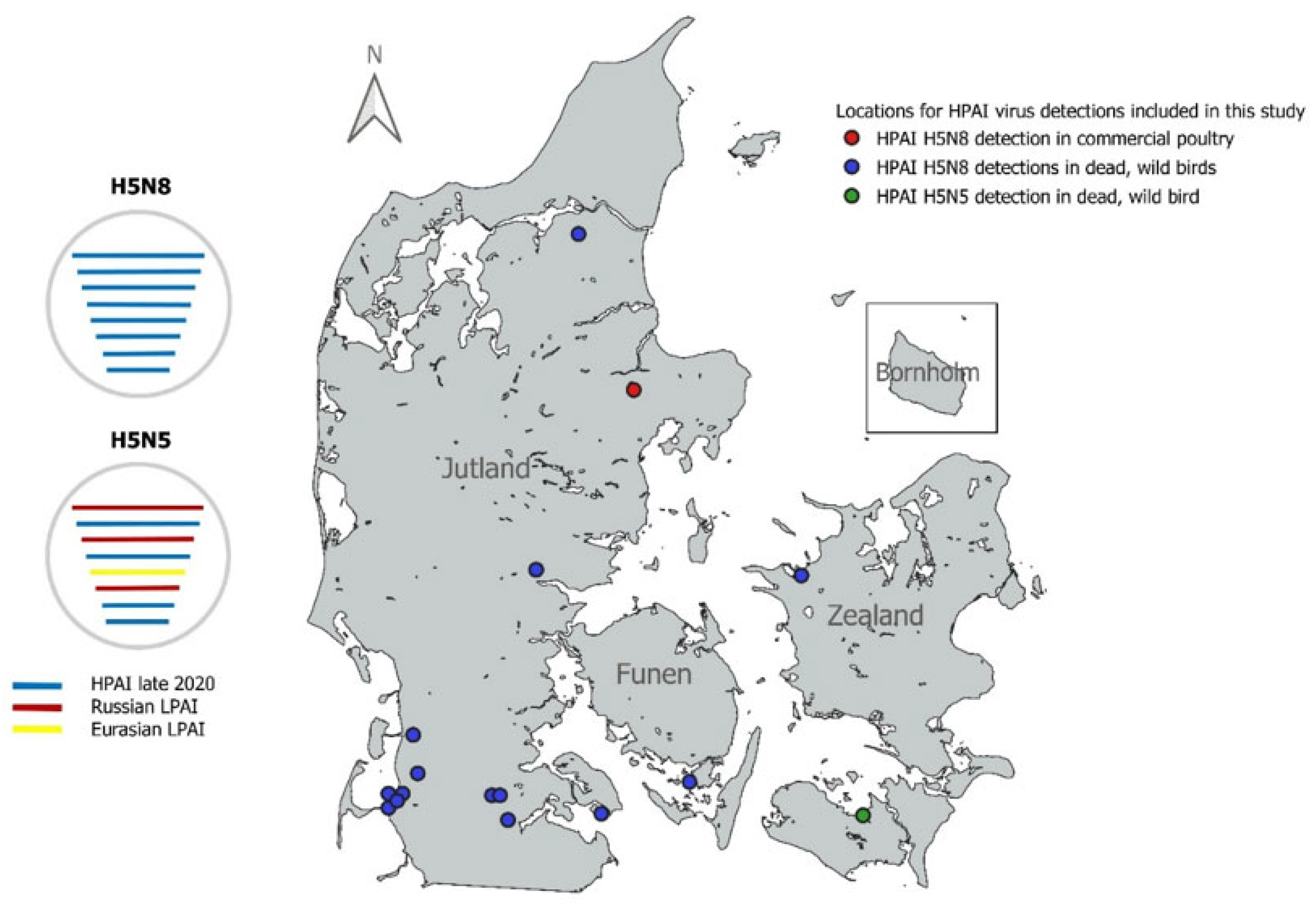 Novel Clade 2.3.4.4b Highly Pathogenic Avian Influenza A H5N8 and H5N5 ...