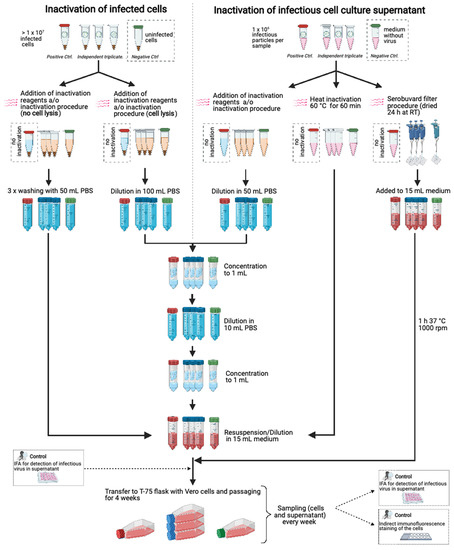 Validation of Inactivation Methods for Arenaviruses