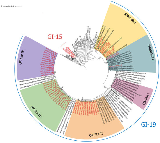Genomic Analysis of Avian Infectious Bronchitis Viruses Recently ...