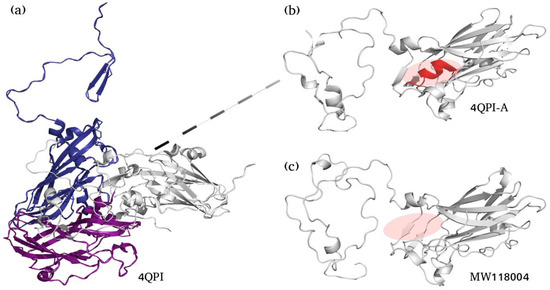 Evidence of Circulation of Several HAV Genetic Variants and Emergence ...