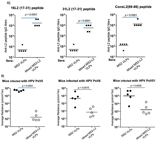 Mixed Bacteriophage MS2-L2 VLPs Elicit Long-Lasting Protective ...