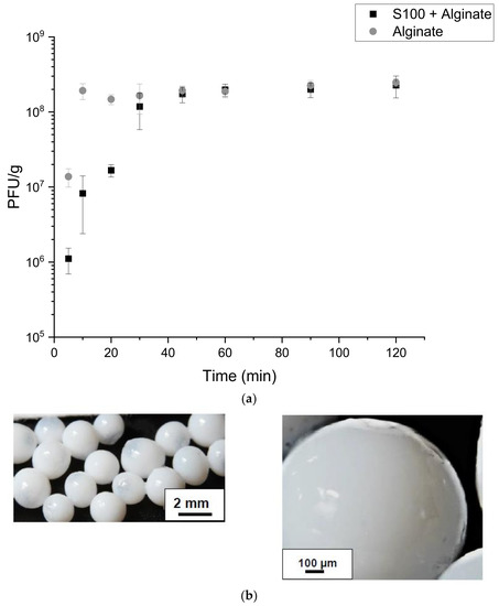 Viruses | Free Full-Text | Bacteriophage Encapsulation in pH-Responsive ...