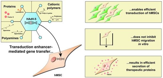 Viruses | Free Full-Text | Transduction Enhancers Enable Efficient ...