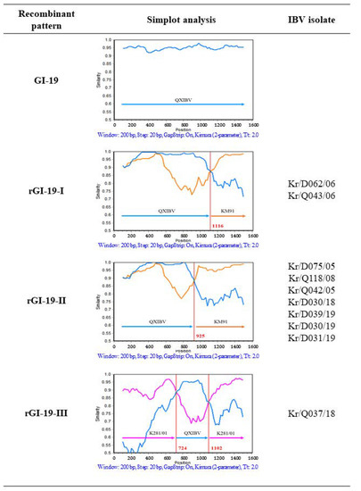 Genetic and Pathogenic Characterization of QX(GI-19)-Recombinant ...