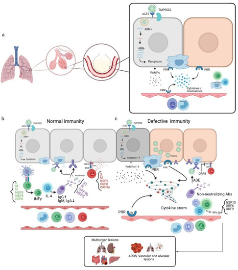 Anti-SARS-CoV-2 Vaccines and Monoclonal Antibodies Facing Viral Variants
