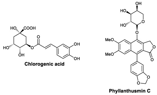 Development of Broad-Spectrum Antiviral Agents—Inspiration from ...