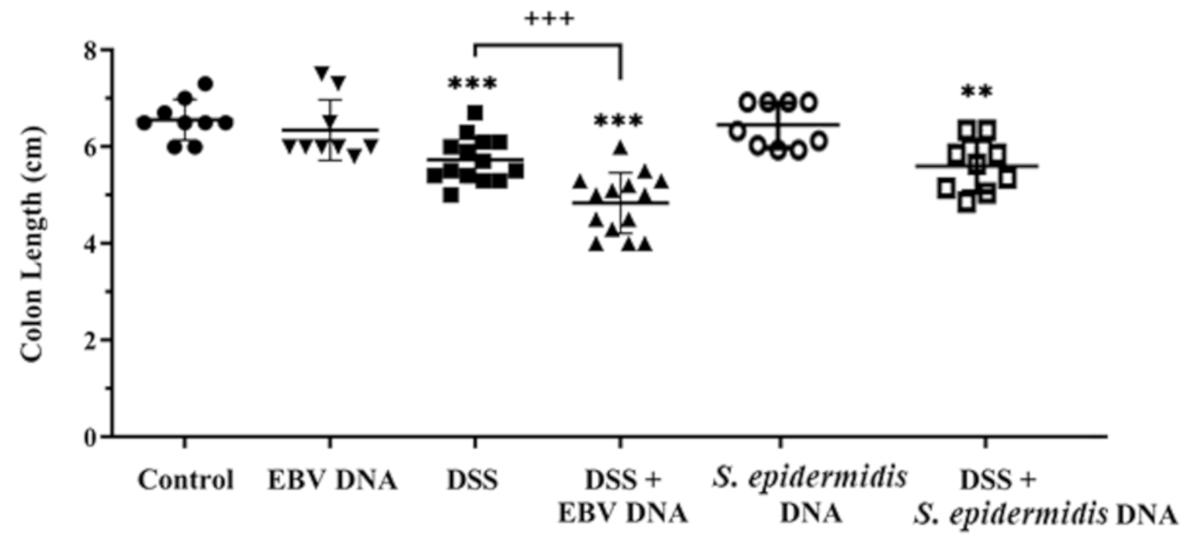 Epstein–Barr Virus DNA Exacerbates Colitis Symptoms in a Mouse Model of ...