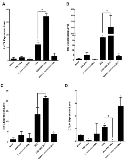 Viruses | Special Issue : In Vivo Mouse Models of Human Viral Infections