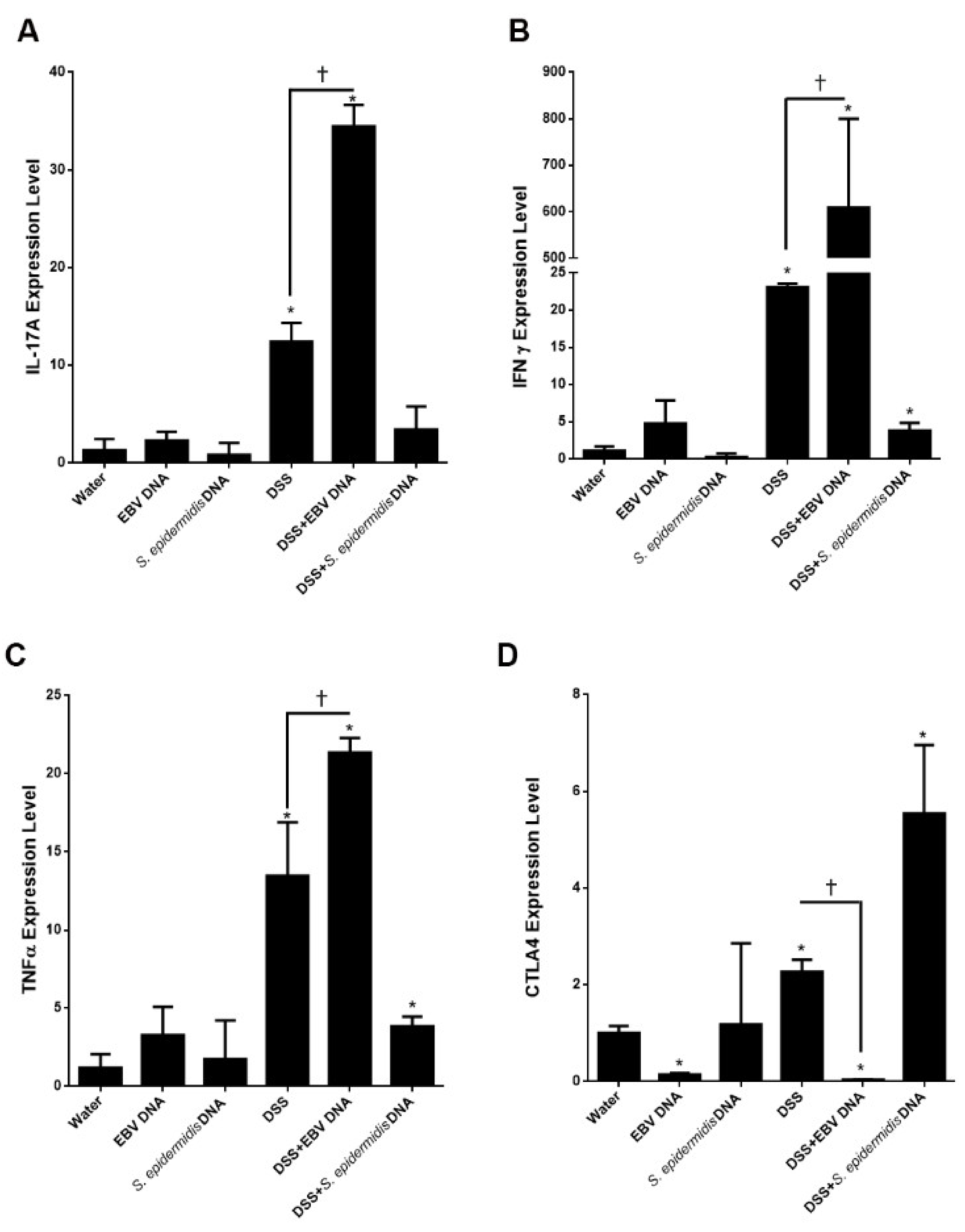Epstein–Barr Virus DNA Exacerbates Colitis Symptoms in a Mouse Model of ...