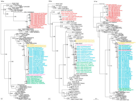 Geographic Distribution and Phylogeny of Soricine Shrew-Borne Seewis ...