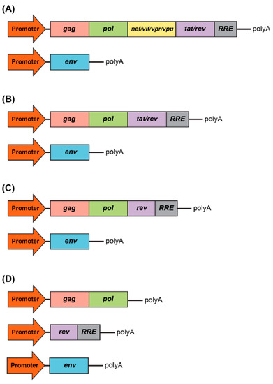 Lentiviral Vectors for Delivery of Gene-Editing Systems Based on CRISPR ...
