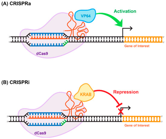 Viruses | Free Full-Text | Lentiviral Vectors for Delivery of Gene ...