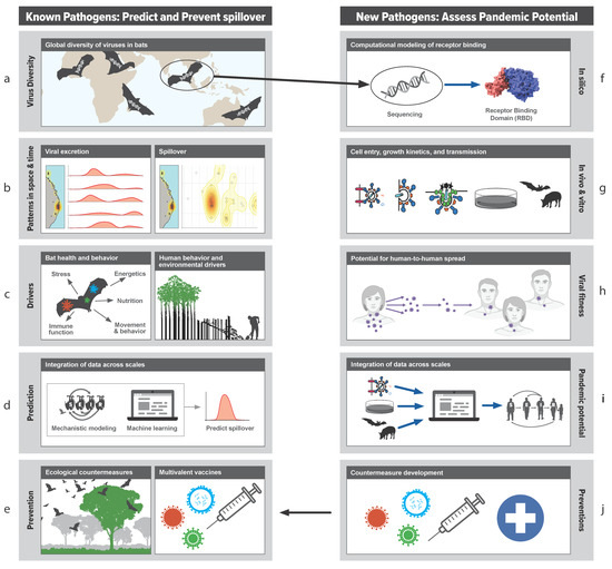 From Protein to Pandemic: The Transdisciplinary Approach Needed to ...