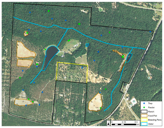 Viruses | Special Issue : Epizootic Hemorrhagic Disease Virus