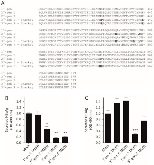 Improved Specificity and Safety of Anti-Hepatitis B Virus TALENs Using ...