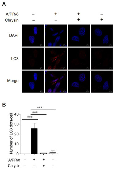 Viruses | Free Full-Text | Antiviral Activity of Chrysin against Influenza Virus Replication via ...