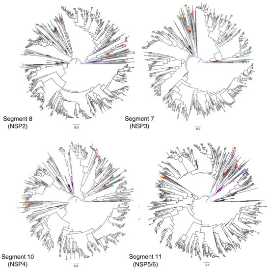 Rotavirus A Genome Segments Show Distinct Segregation and Codon Usage ...