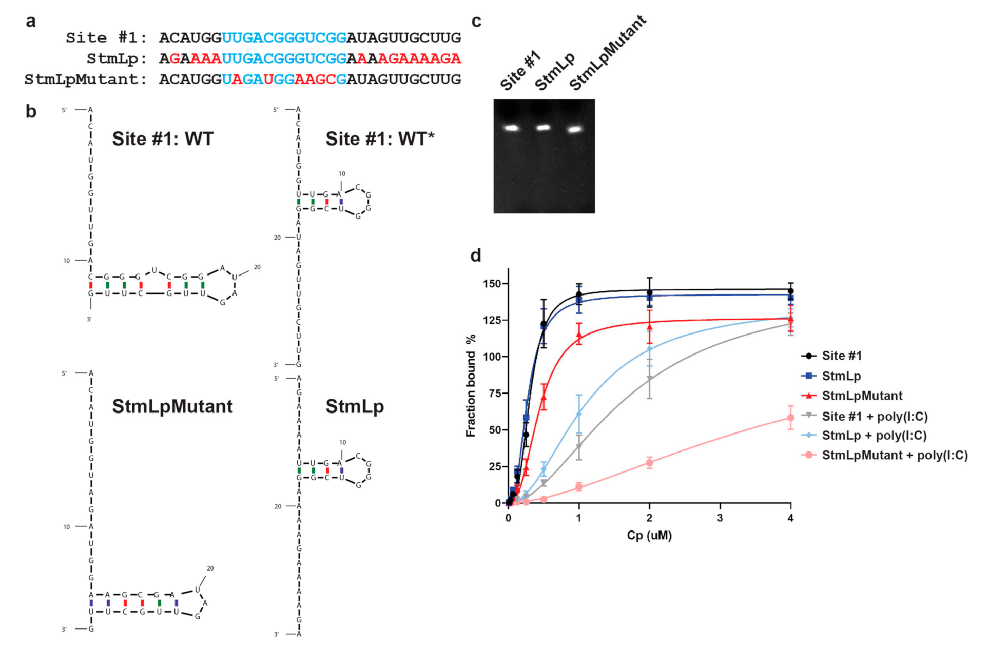 Specific Recognition of a Stem-Loop RNA Structure by the Alphavirus ...