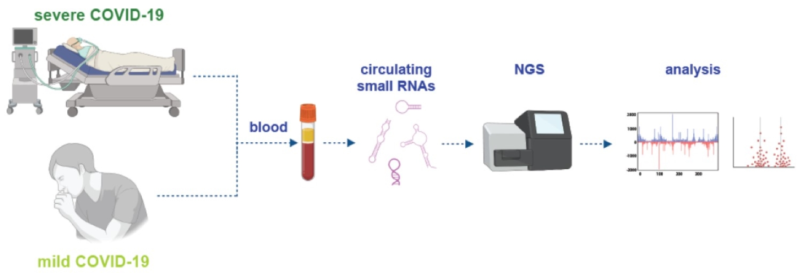 Viruses | Free Full-Text | Detection of SARS-CoV-2 Derived Small RNAs ...
