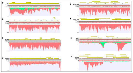 Clc genomics workbench map to reference - vbwest