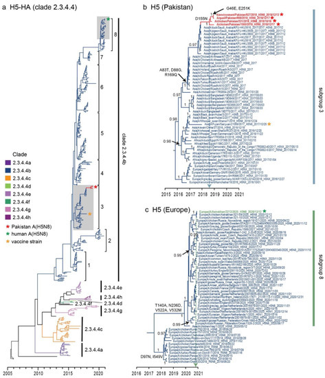 Genetic Characterization of Highly Pathogenic Avian Influenza A(H5N8 ...
