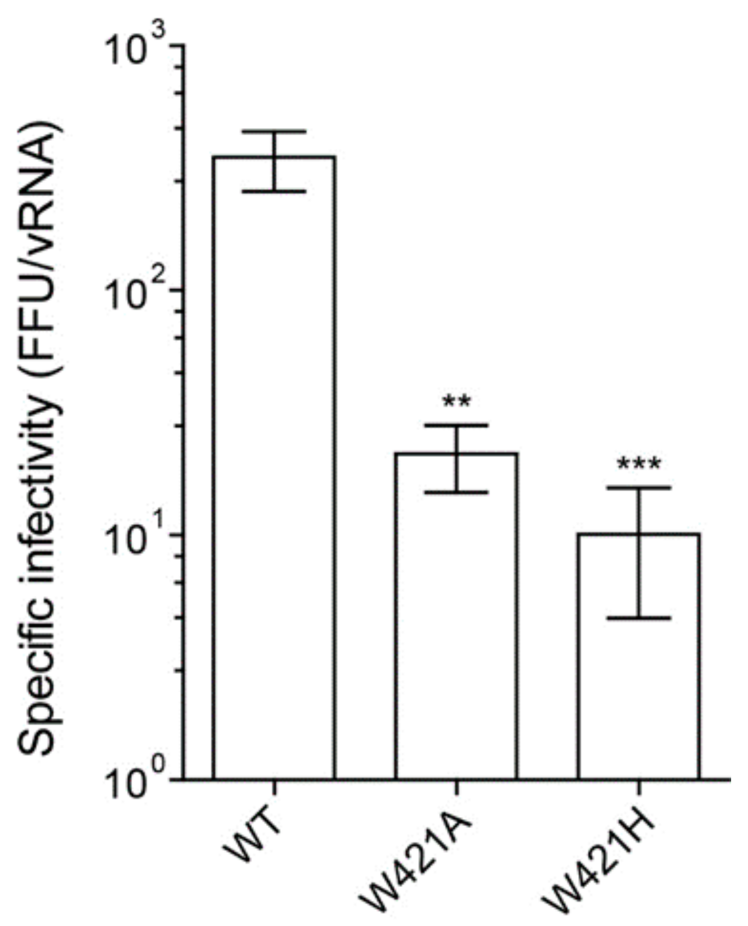 Viruses | Free Full-Text | An Absolutely Conserved Tryptophan in the ...