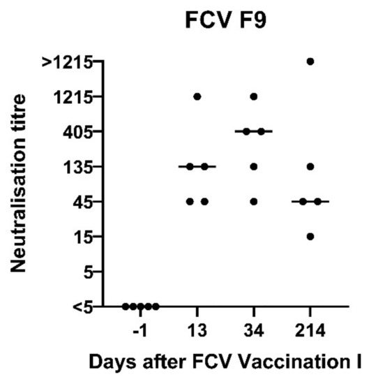 Modified-Live Feline Calicivirus Vaccination Elicits Cellular Immunity ...