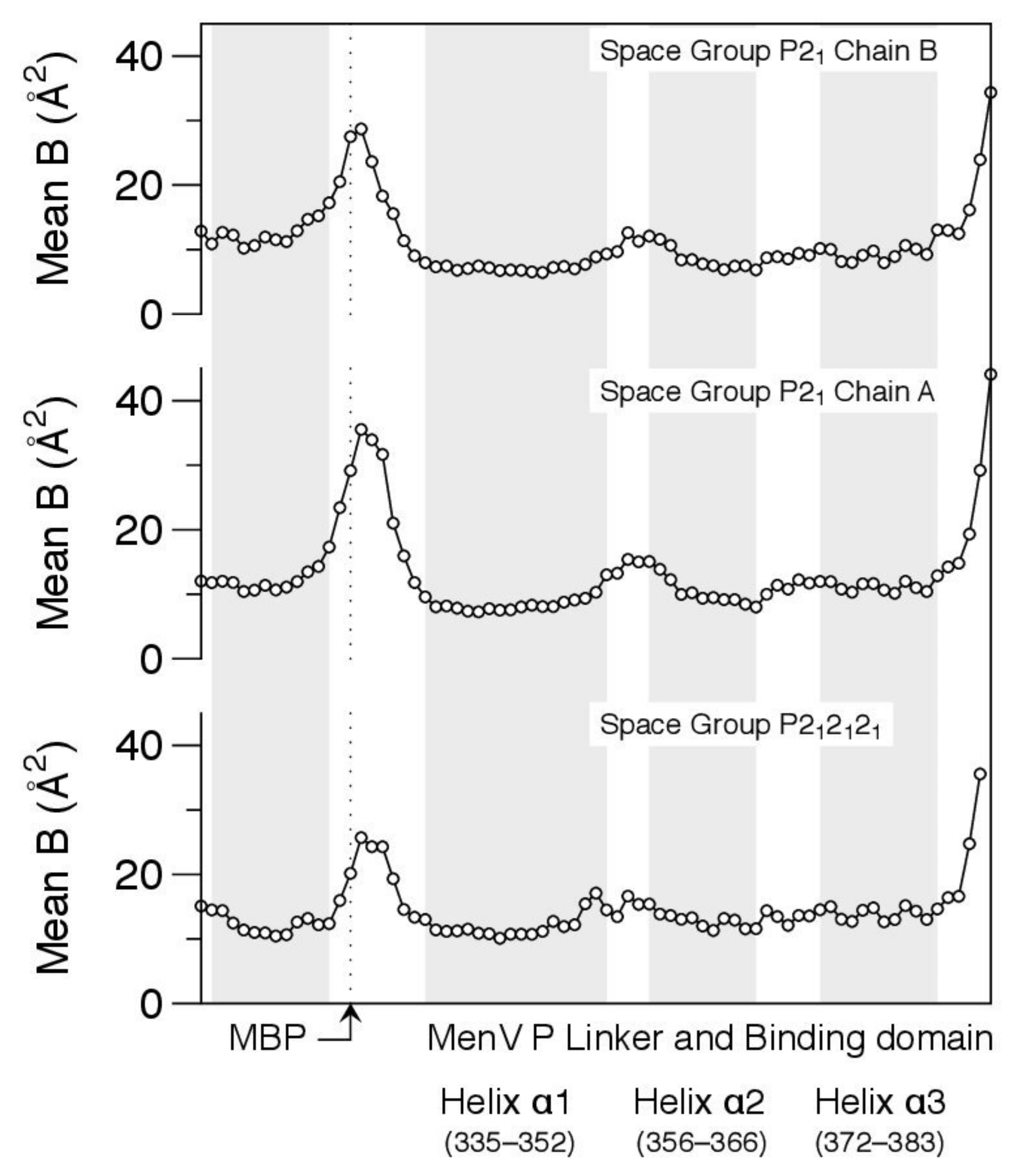 Structural Analysis of the Menangle Virus P Protein Reveals a Soft ...
