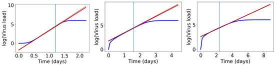 Personalized Virus Load Curves for Acute Viral Infections