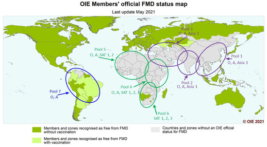 Targeted FMD Vaccines for Eastern Africa: The AgResults Foot and Mouth ...