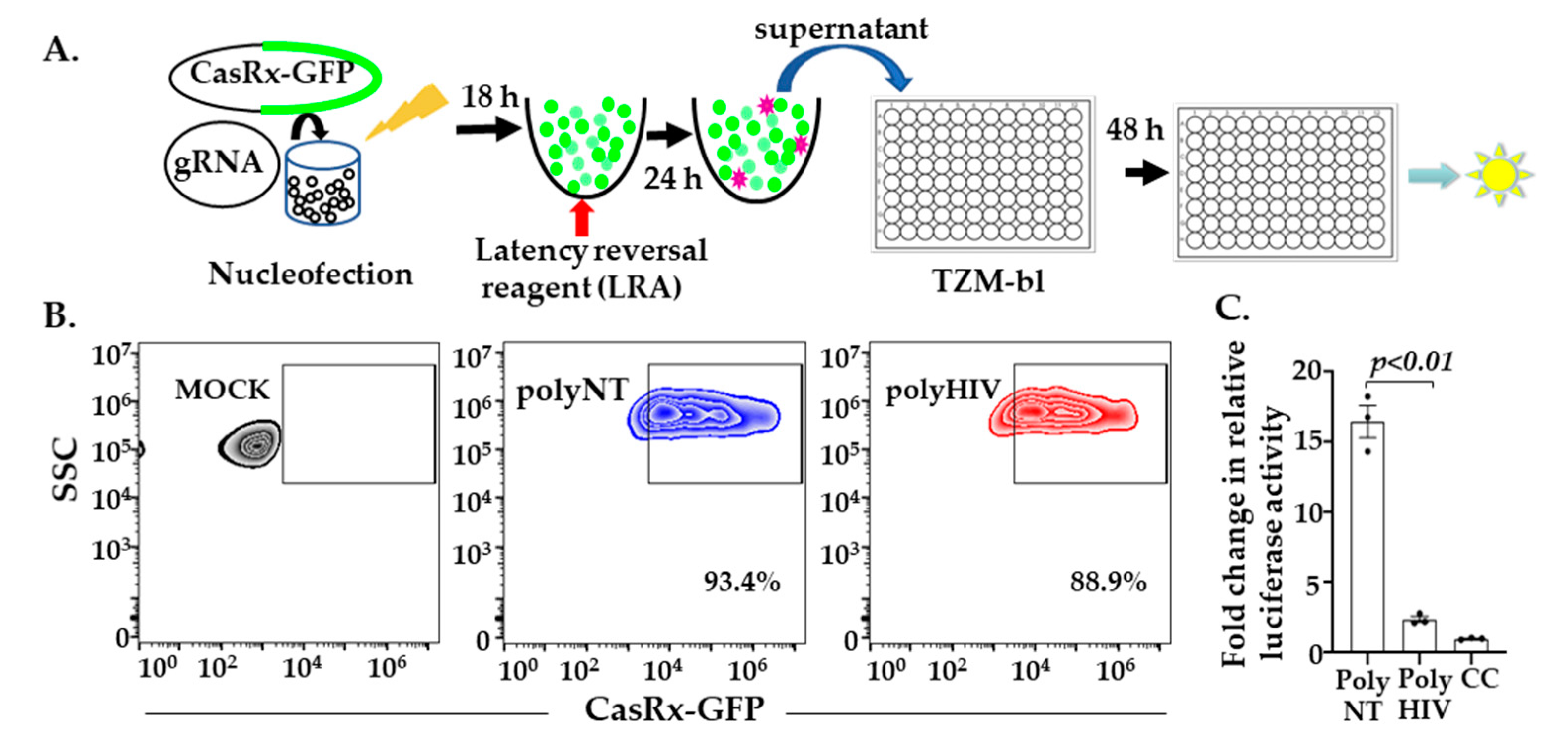 Efficient Inhibition of HIV Using CRISPR/Cas13d Nuclease System