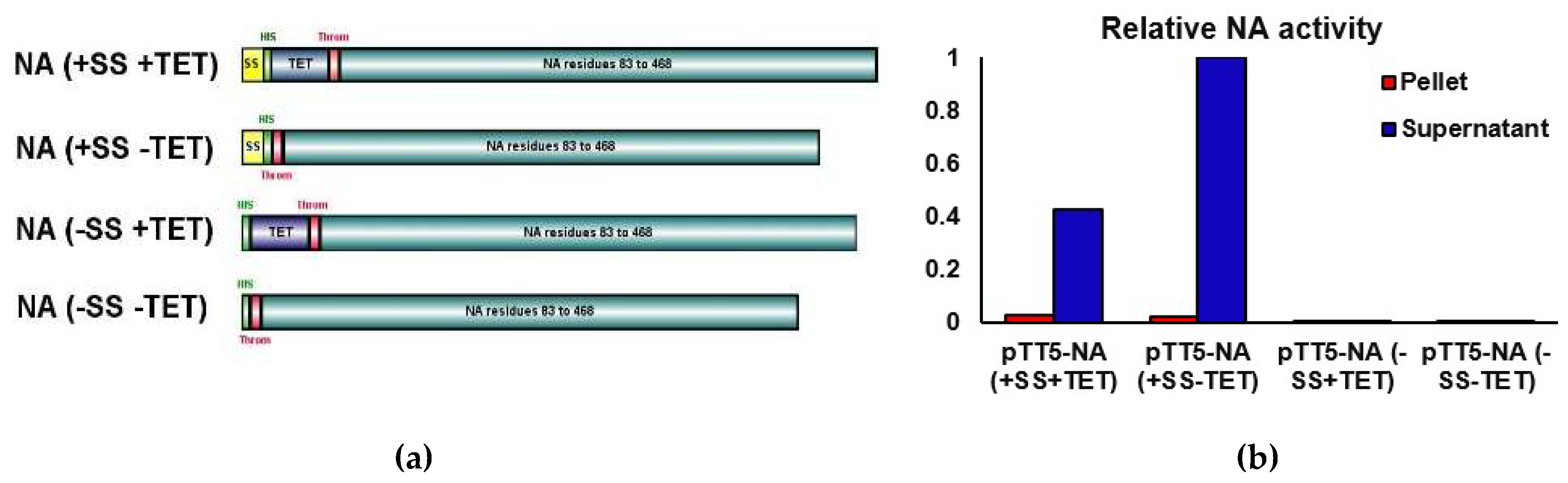 Optimisation of Neuraminidase Expression for Use in Drug Discovery by ...
