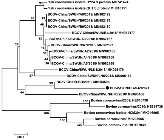Next-Generation Sequencing Reveals Four Novel Viruses Associated with ...