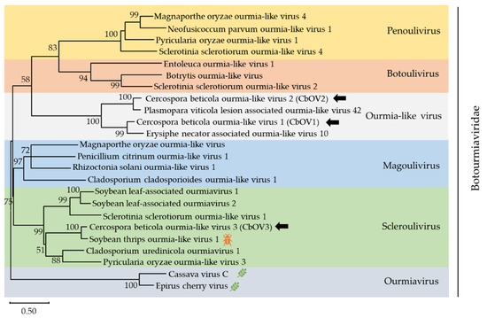 Viruses | Topical Collection : Mycoviruses