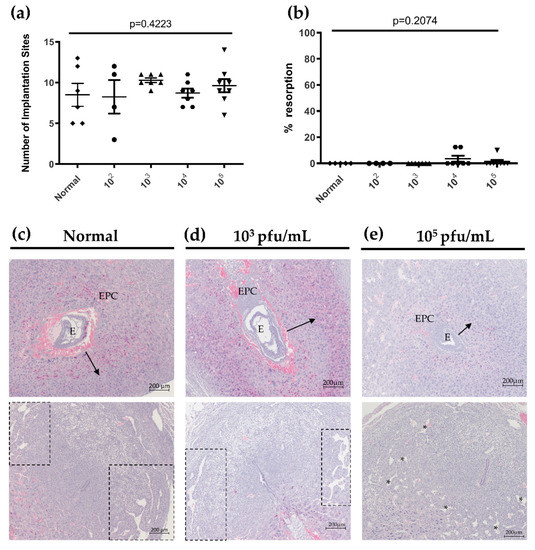 Primary HSV-2 Infection in Early Pregnancy Results in Transplacental ...
