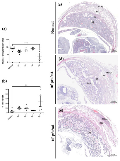 Primary HSV-2 Infection in Early Pregnancy Results in Transplacental ...