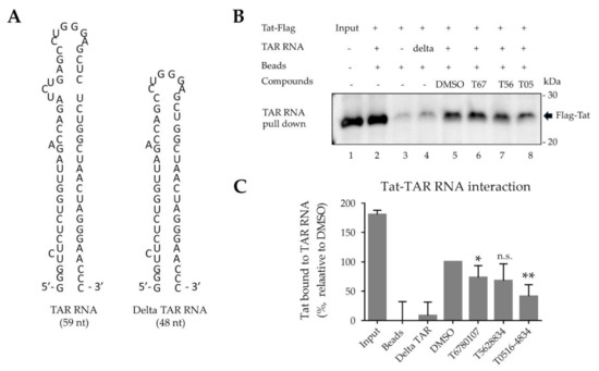 Targeting Tat–TAR RNA Interaction for HIV-1 Inhibition