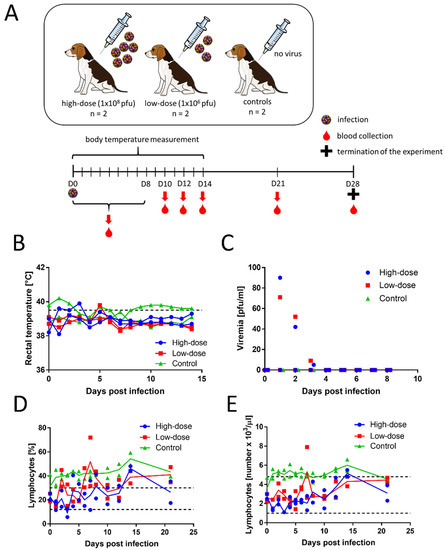 Experimental and Natural Infections of Tick-Borne Encephalitis Virus in ...