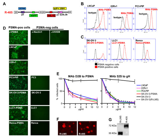 Towards a Precision Medicine Approach and In Situ Vaccination against ...