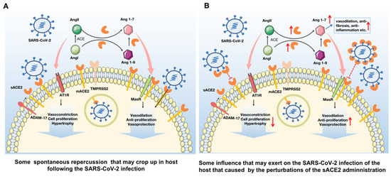 Viruses | Free Full-Text | Killing Two Birds with One Stone by ...