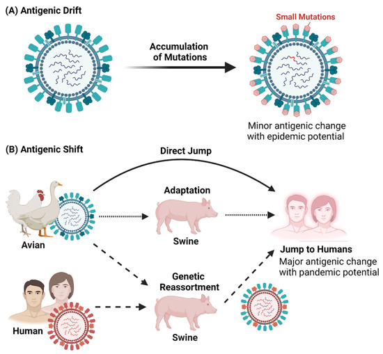 Peering into Avian Influenza A(H5N8) for a Framework towards Pandemic ...