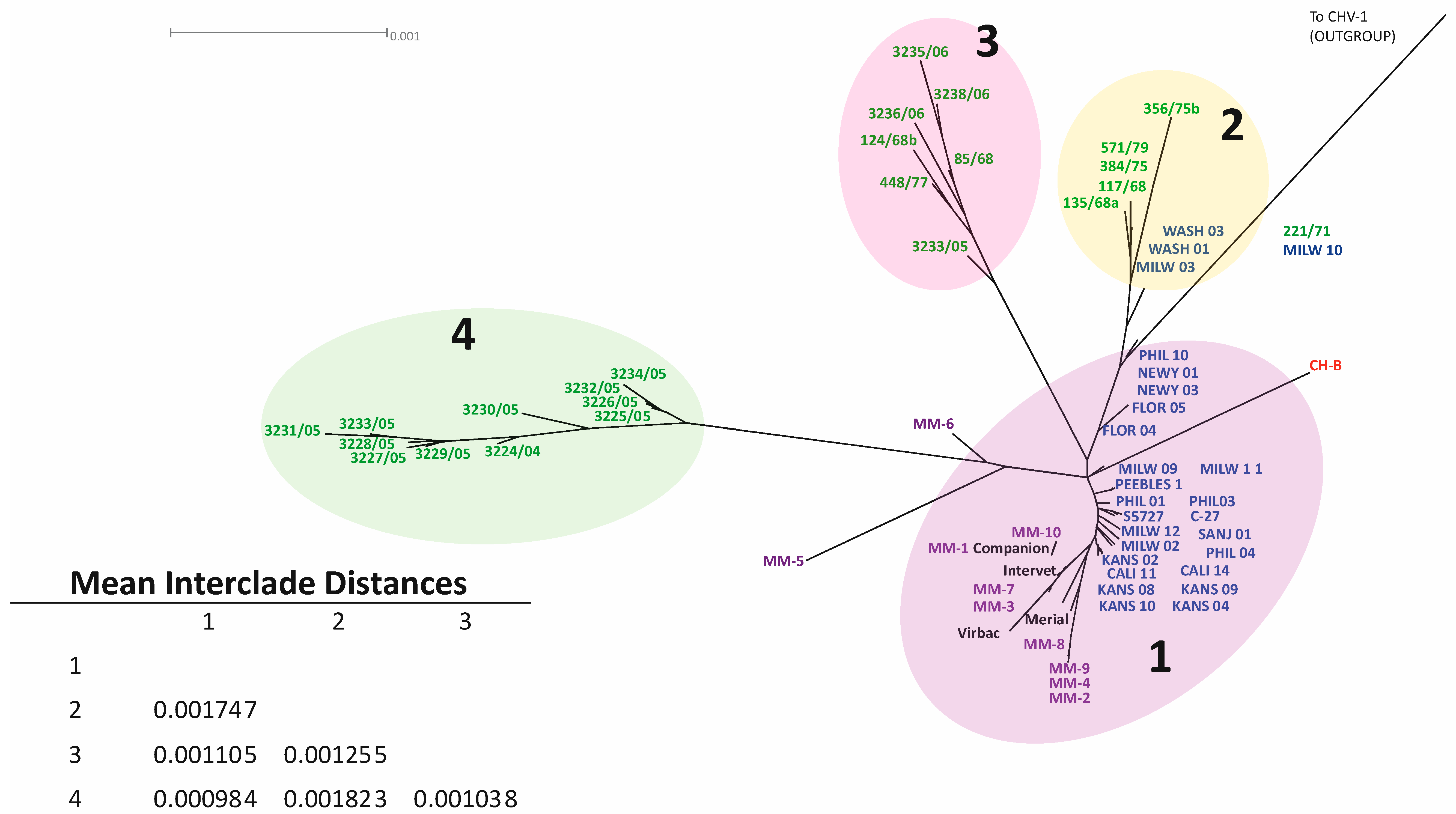 Full Viral Genome Sequencing and Phylogenomic Analysis of Feline ...