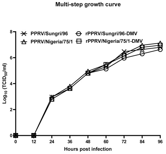 Viruses | Special Issue : Peste des Petits Ruminants (PPR) Eradication ...