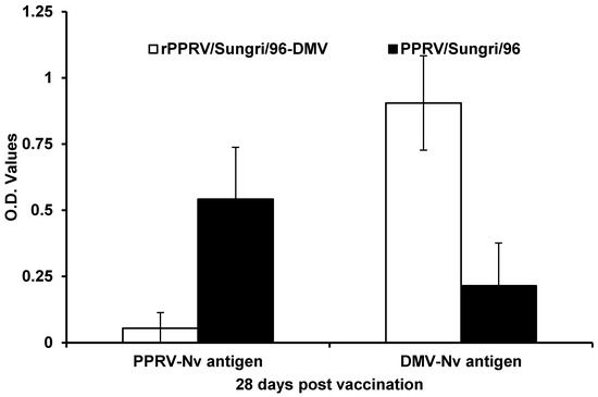Viruses | Special Issue : Peste des Petits Ruminants (PPR) Eradication ...