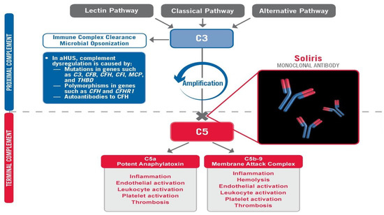Soliris to Stop Immune-Mediated Death in COVID-19 (SOLID-C19)—A ...
