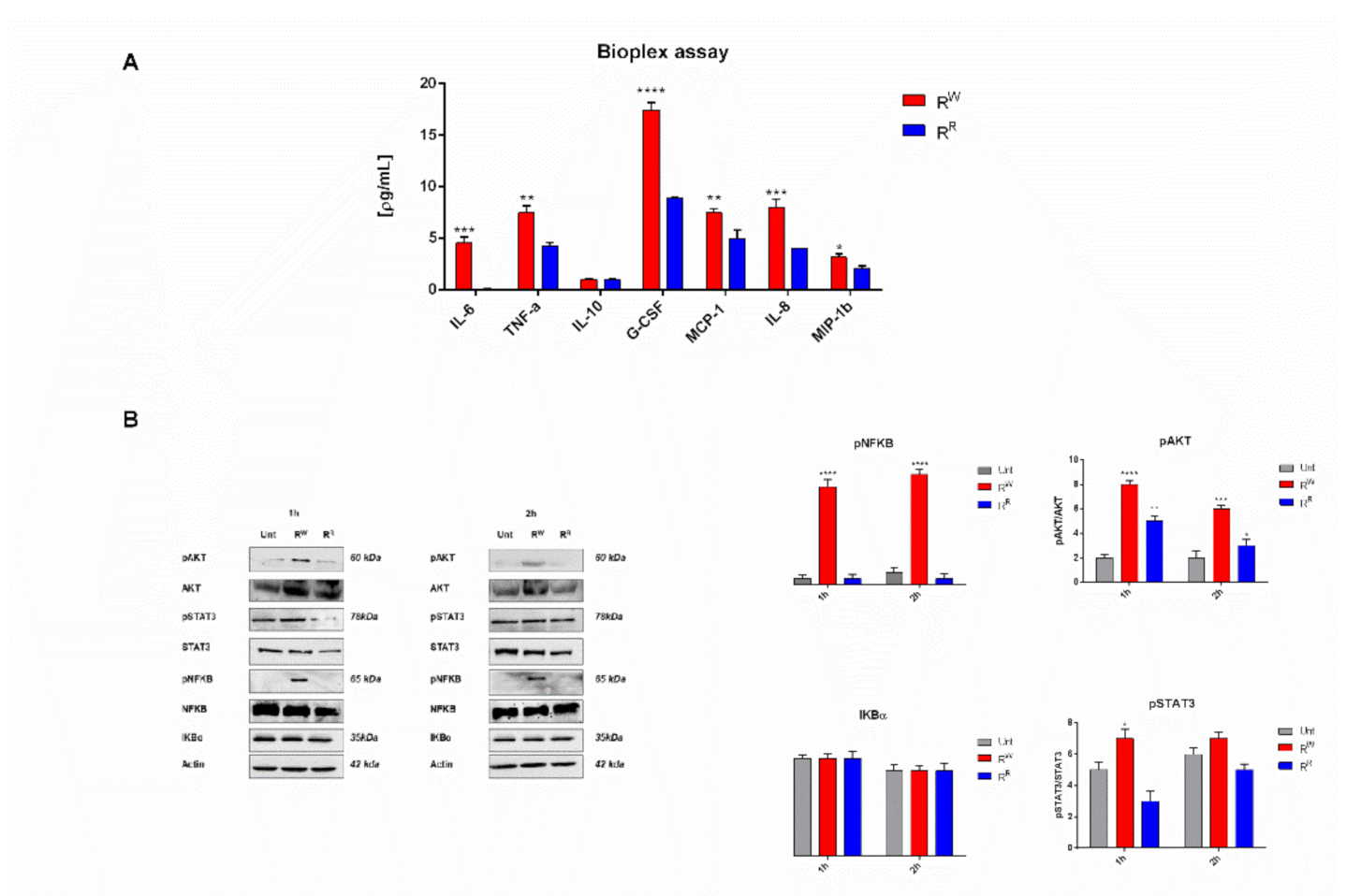 Bacteriophage-Resistant Salmonella rissen: An In Vitro Mitigated ...