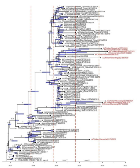 Viruses | Free Full-Text | Spatiotemporal Associations and Molecular ...