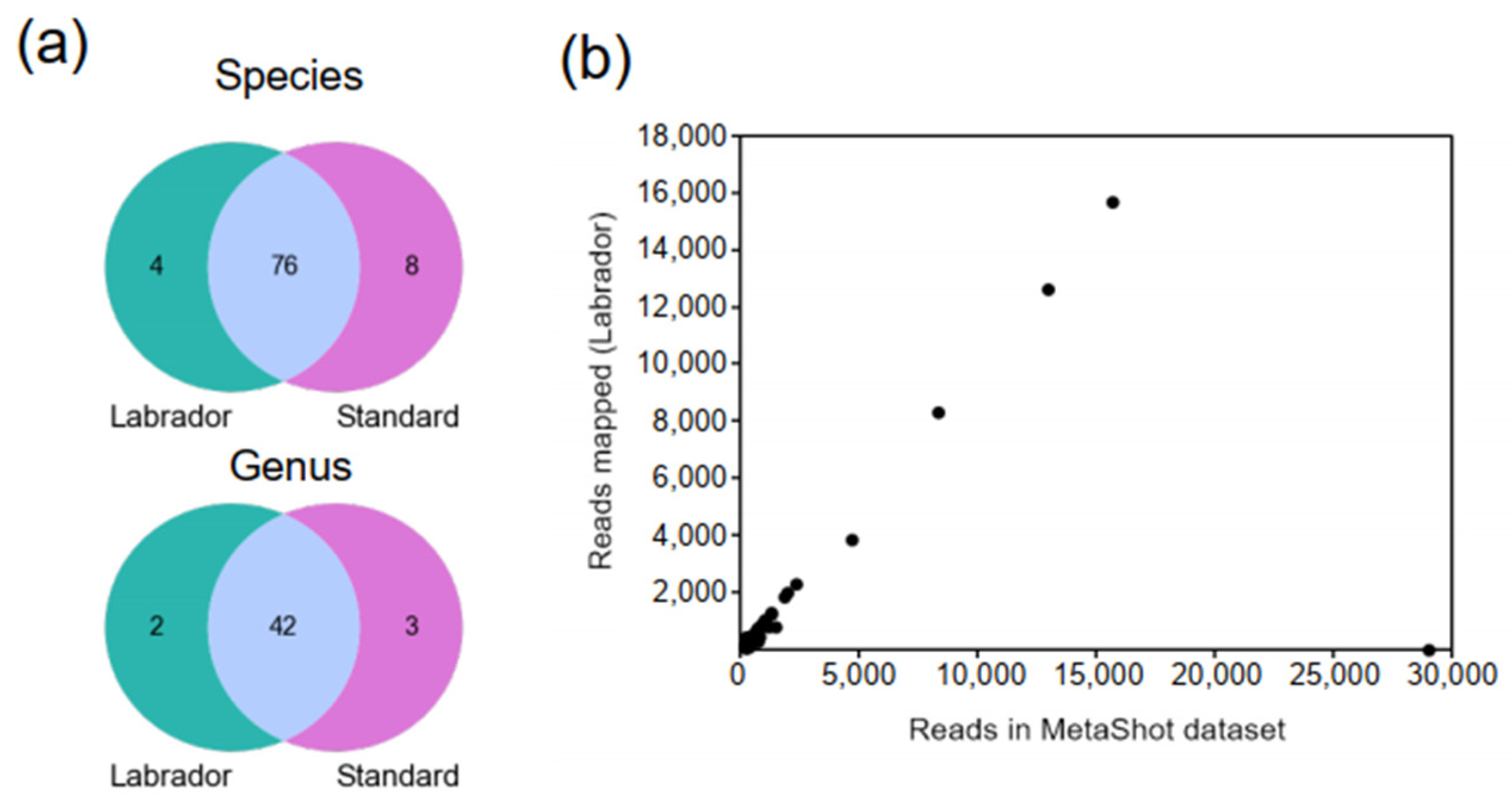 LABRADOR—A Computational Workflow for Virus Detection in High-Throughput Sequencing Data