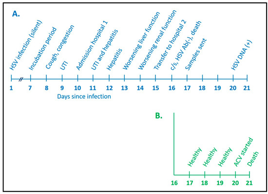 Viruses | Free Full-Text | Distinguishing Features Common to Dual Fatal ...