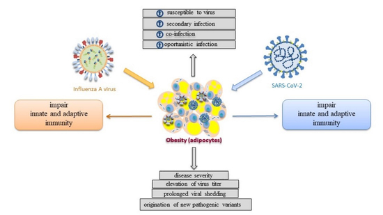 Viruses | Free Full-Text | Pandemics of the 21st Century: The Risk ...